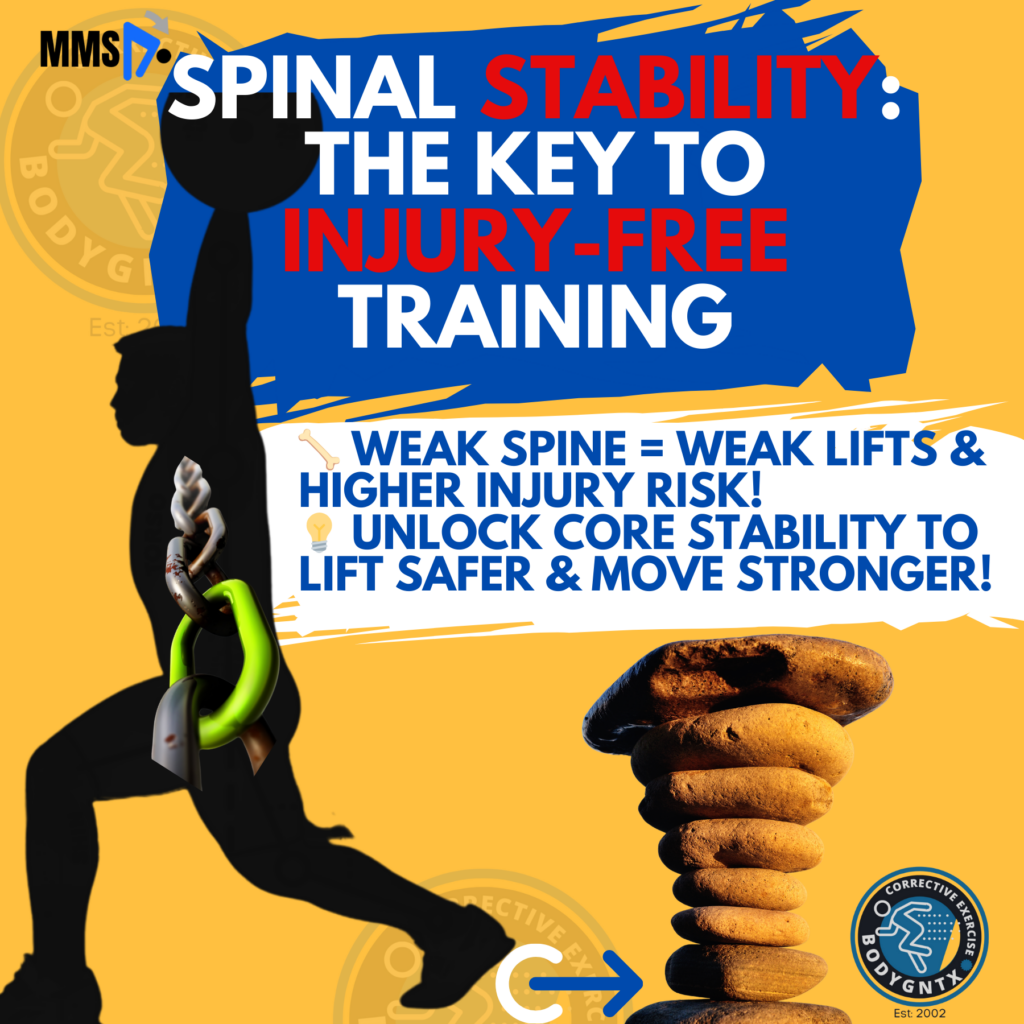 Spinal Stability: The Key to Injury-Free Training - BodyGNTX ...